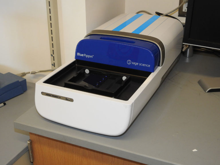 Blue Pippin Prep | Clemson University Genomics and Bioinformatics facility