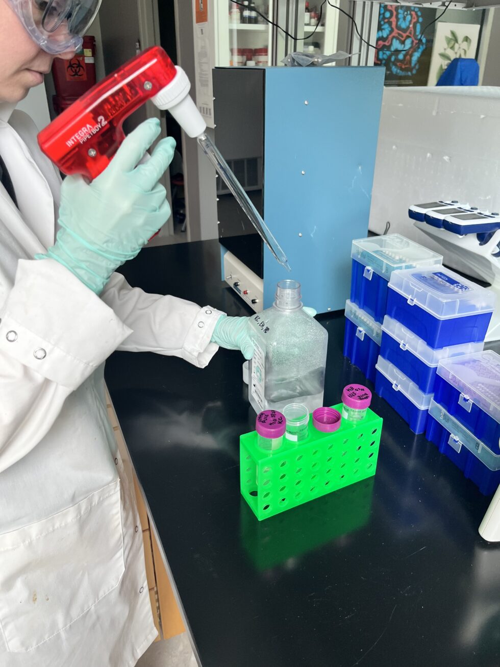 Clemson University Institute for Human Genetics | Through its research ...