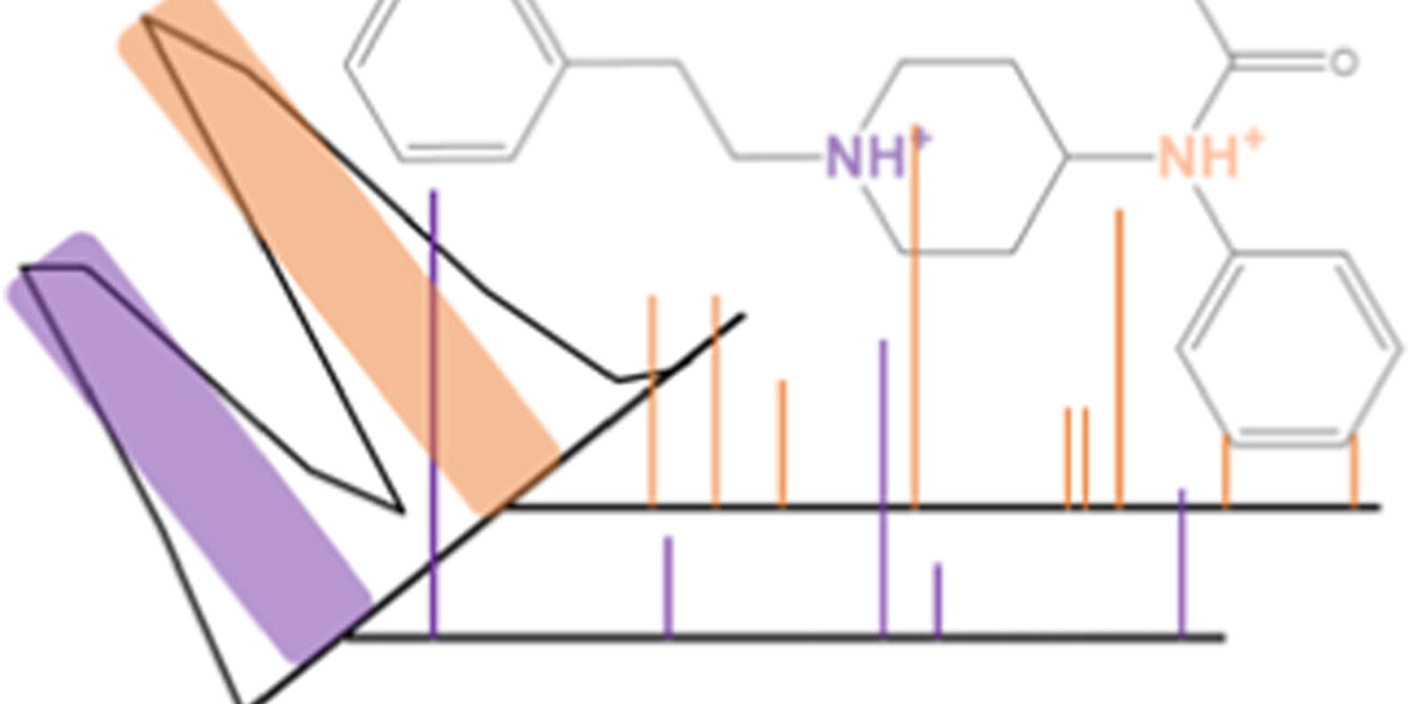 Fundamental Studies of Fentanyl Protomers and their Gas-Phase Structure ...